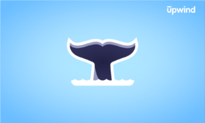 Top Docker Alternatives for Containerization in 2025